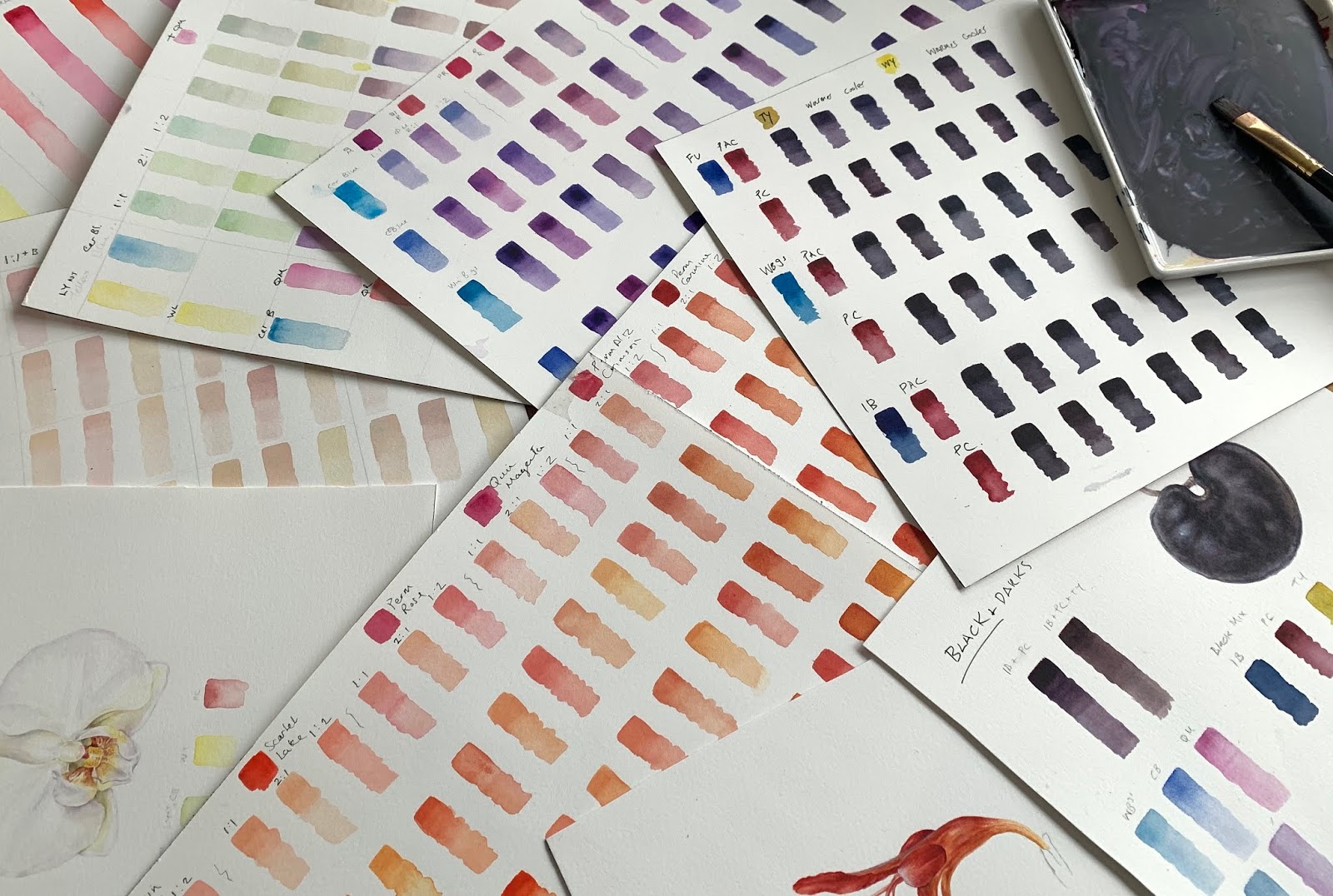 Dianne Sutherland: Primary Palette Colour Mixing