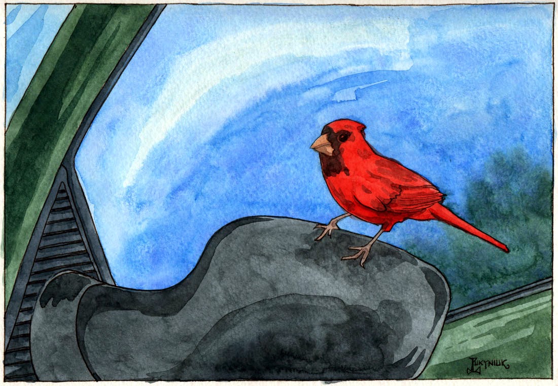 Michael's Scroll: Cardinal perched on a car mirror / Cardinal perché ...