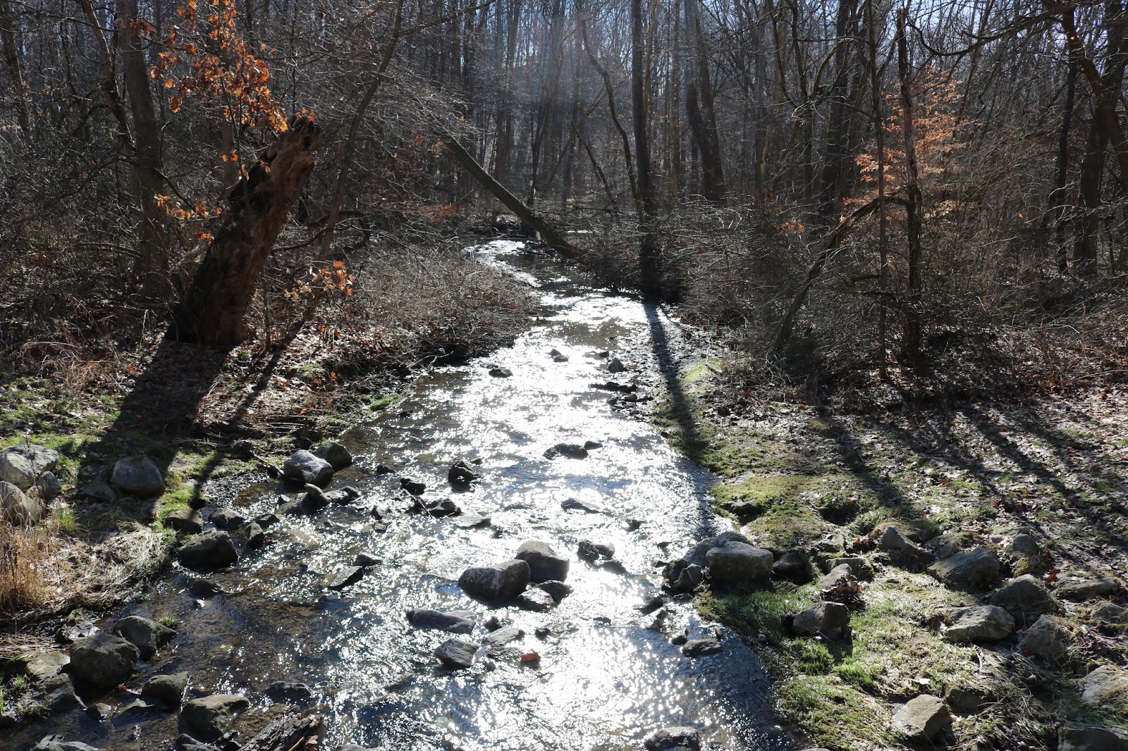 February Outdoor Winter Photos