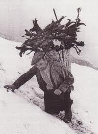 L'AGRICOLTURA DELLA MONTAGNA LOMBARDA NEL PASSATO E LA VITA PAESANA. LA ...