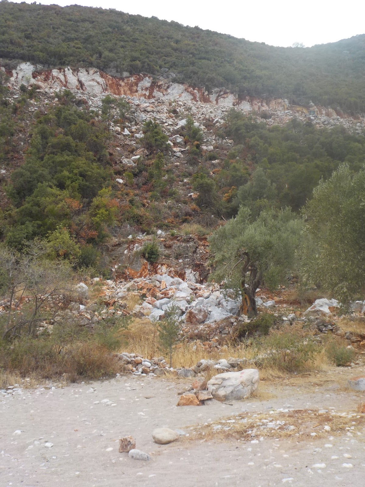 ORTHOLOGIKA: ΦΩΚΙΑΝΟΣ : ΡΗΜΑΞΑΝ ΤΟΠΙΟ ΚΑΙ ΦΥΣΗ.....ΣΚΟΤΩΣΑΝ ΝΕΟΓΝΑ ...