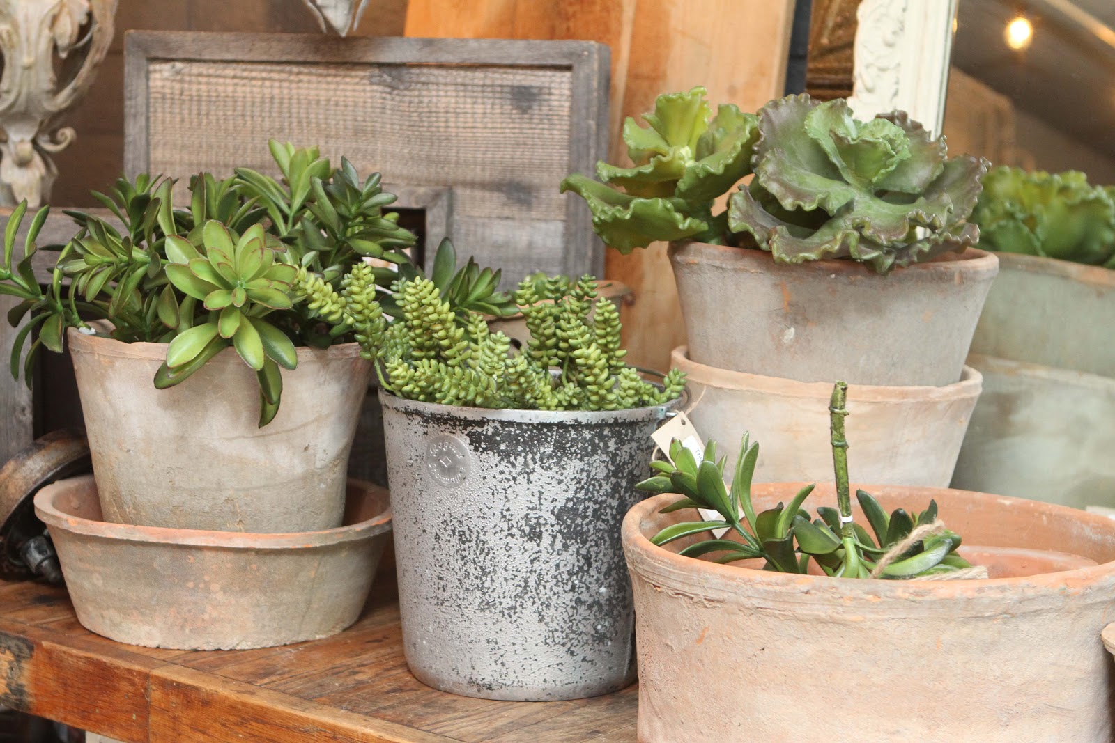 The Willows Home & Garden: around the garden shop