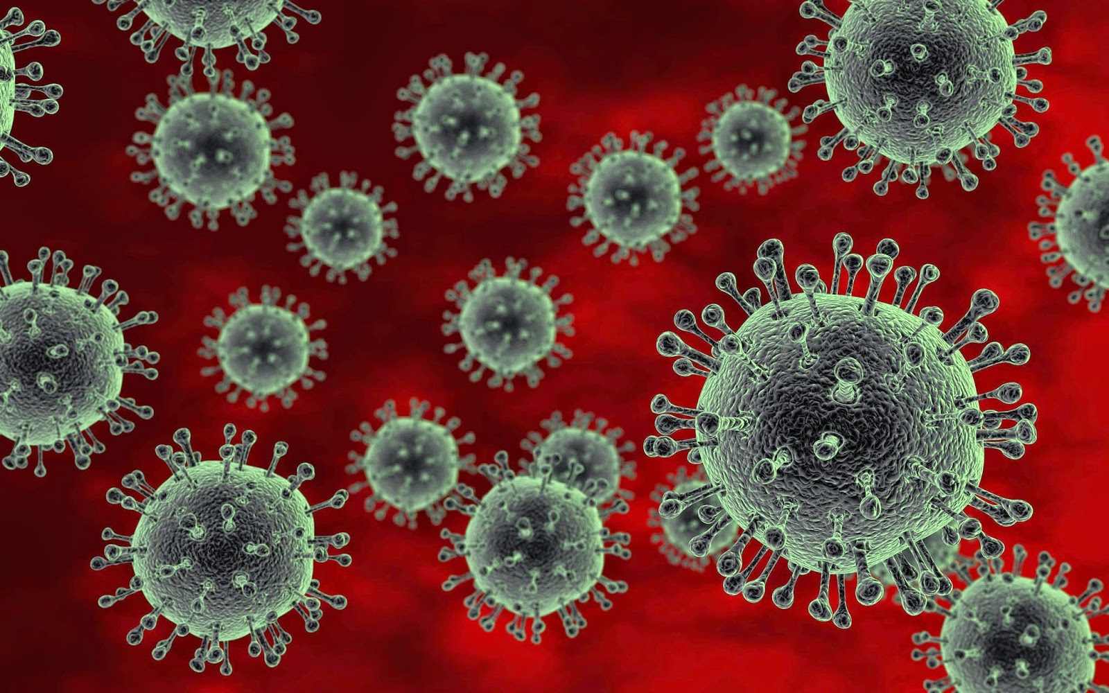 MedFriendly Medical Blog: Pictures of 10 Deadly Viruses, Bacteria ...
