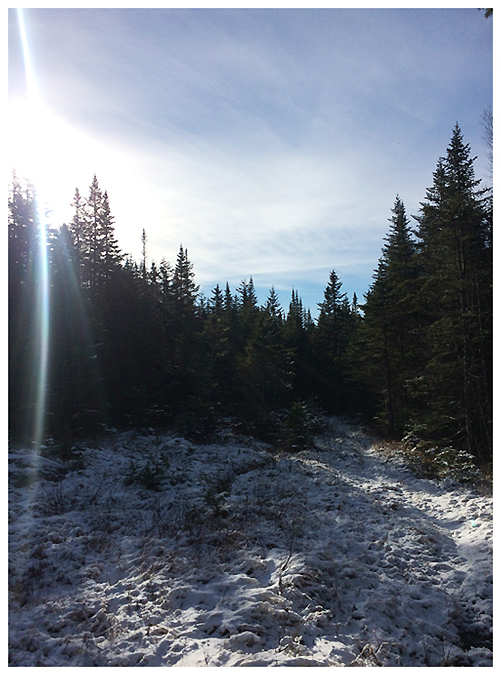 Hiking in the White Mountains: Livermore Pass and the Old Town of ...