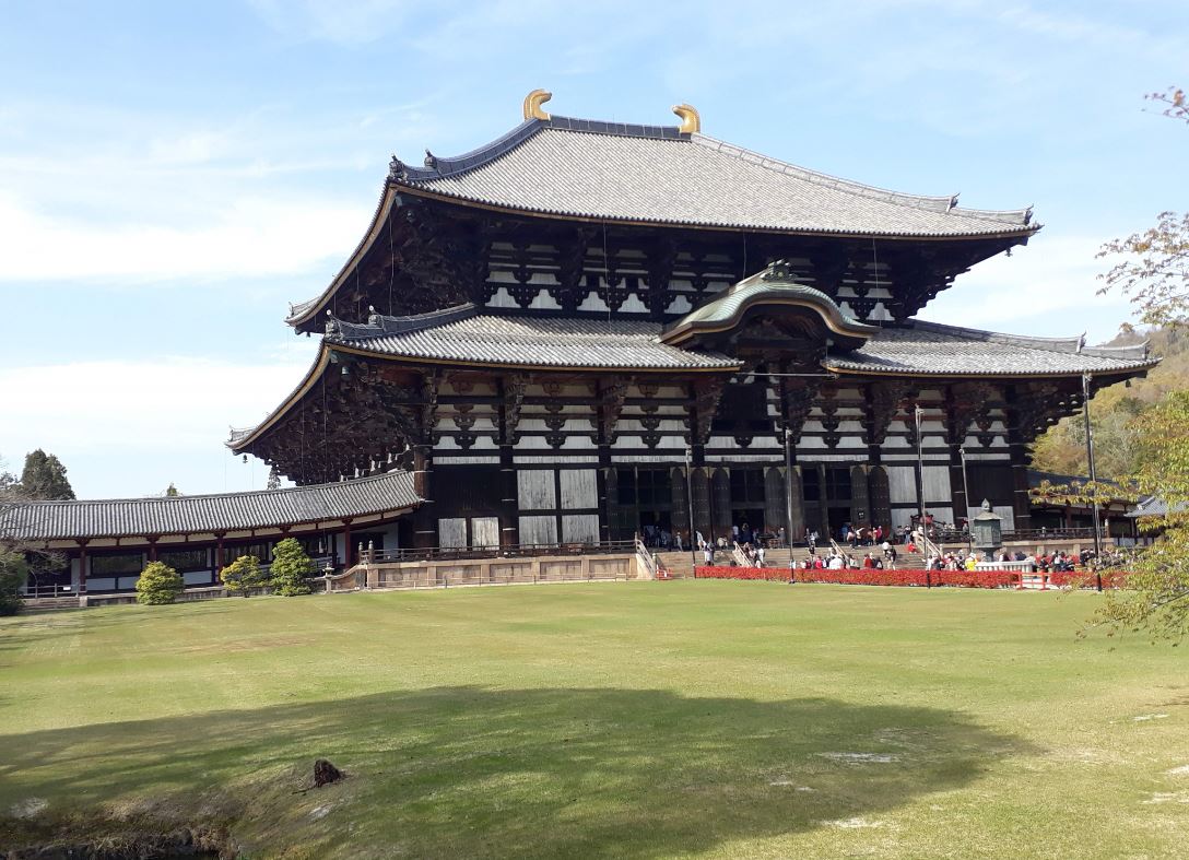 12 Tips when visiting Nara in Japan