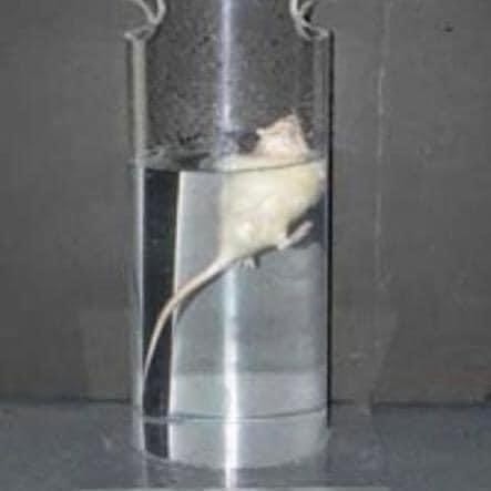 TRUSTWORTHY SAYINGS: The “HOPE “experiment.