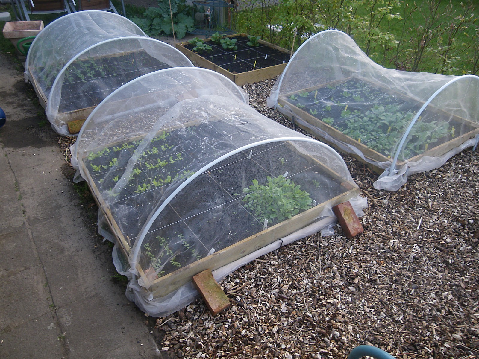 Vierkante meter tuinieren: insectengaas vierkante meter tuin Vierkante meter tuinieren: insectengaas vierkante meter tuin
