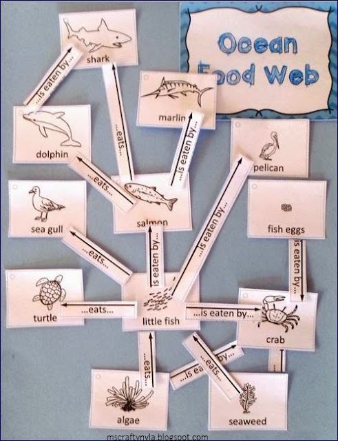Nyla's Crafty Teaching: How to Make a Food Web - A Complete Guide