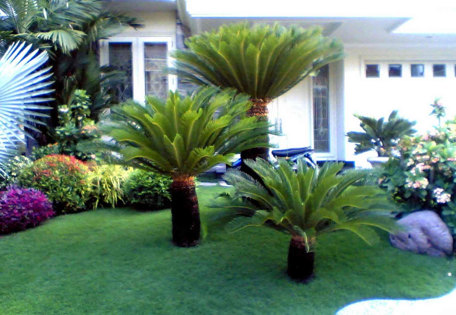 Gambar Foto Desain Taman Klasik