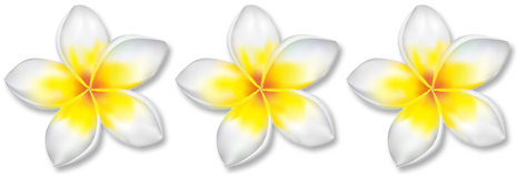 A Bookish Escape: Book Review: Will The Real Abi Saunders Please Stand ...