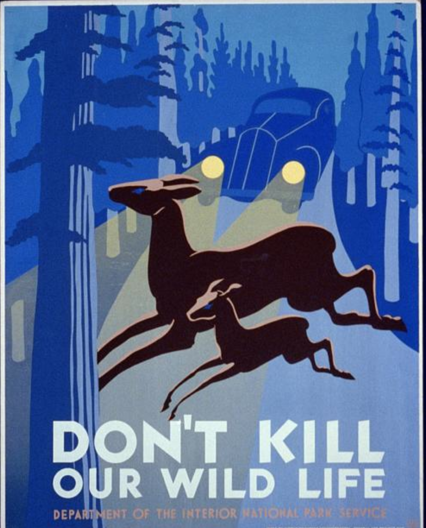 meggiecat: WPA posters in the Library of Congress