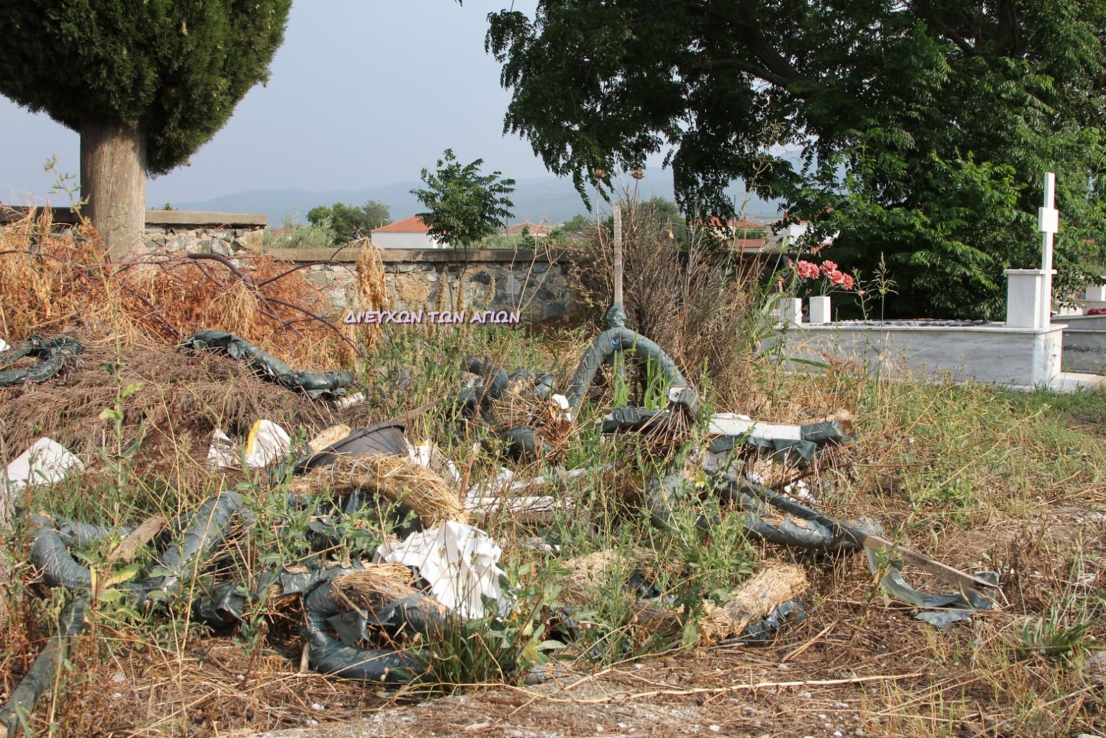 ΔΙ'ΕΥΧΩΝ ΤΩΝ ΑΓΙΩΝ: * ΠΟΥ ΠΑΝΕ ΤΑ ΣΤΕΦΑΝΙΑ ΤΩΝ ΚΗΔΕΙΩΝ;