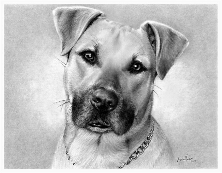 Graphite Drawing Realistic