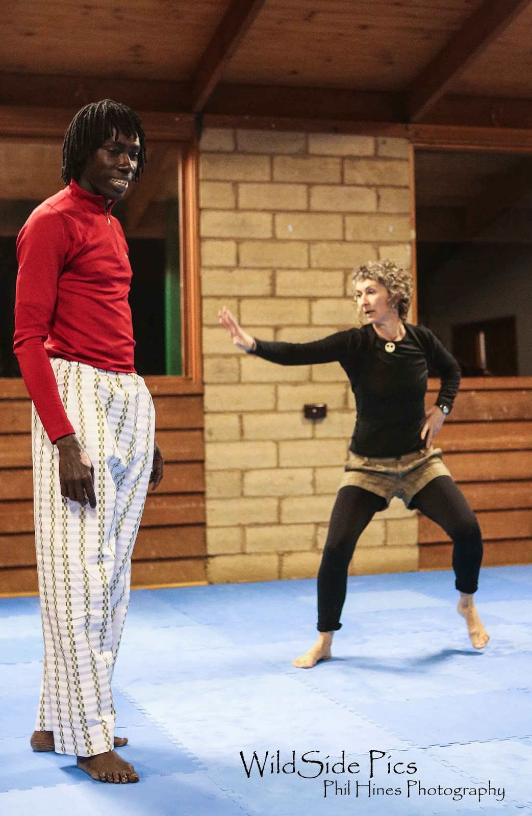 Wild Moves News and Upcoming Events