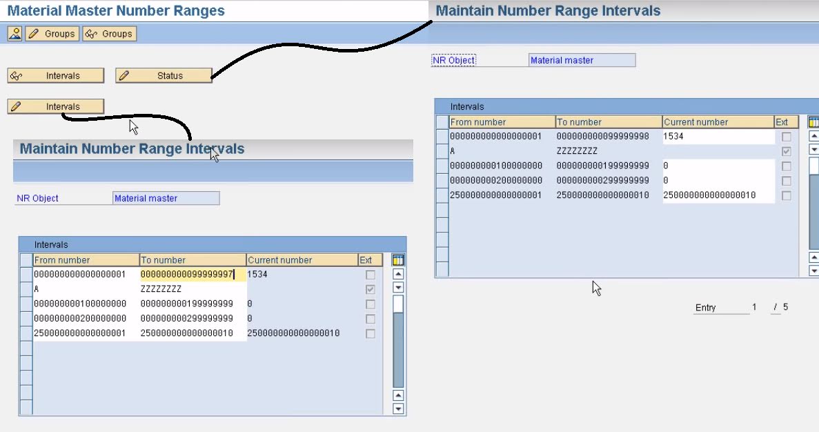 Material Type and Number Range Configuration