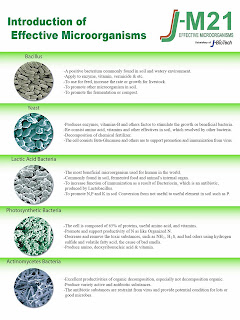 J-BIOTECH M21 EFFECTIVE MICROBE: INTRODUCTION OF EFFECTIVE MICROORGANISMS