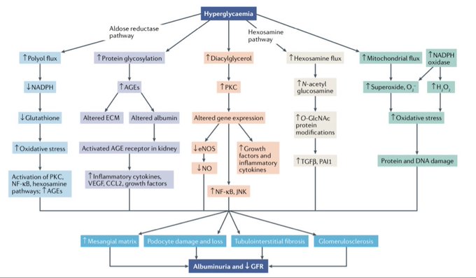 tajea journal of medicine: Nature. Fisiopatología de la enfermedad ...