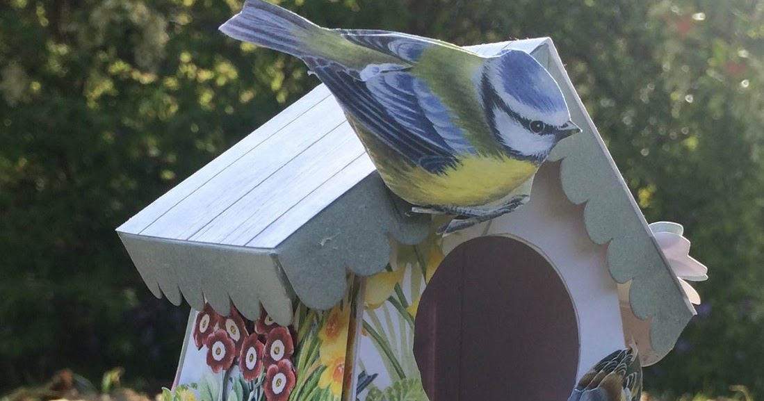 Papercraft by Carole!: Use Your Craft Stash - Bird Box