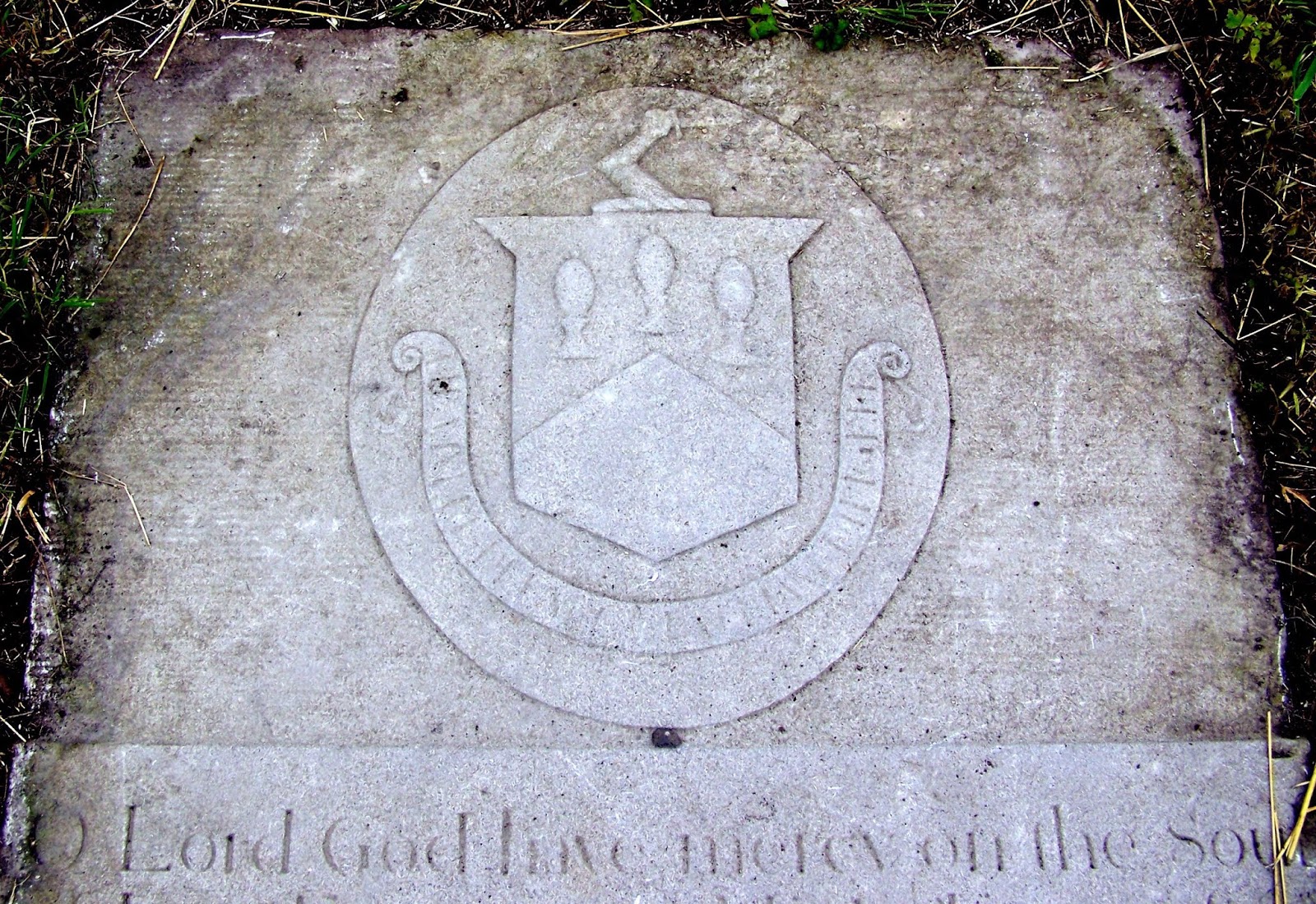 Irish Heraldry: Heraldry at Ballymore