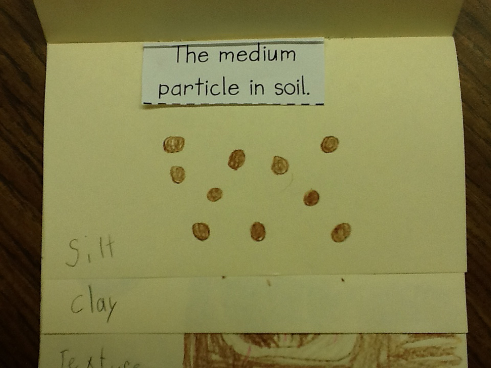 Fun For First: Soil Books