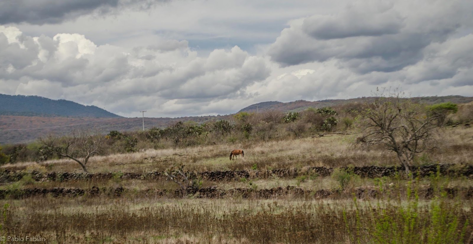 Jaime Ramos Méndez: Paisaje rural rumbo a Gómez Farías en Michoacán ...