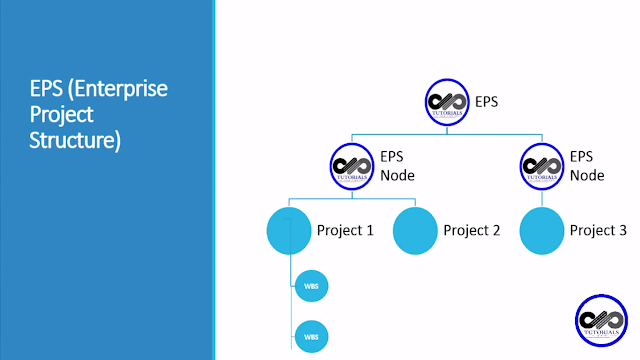 Primavera P6 Tutorial : Chapter 2.2: EPS, OBS