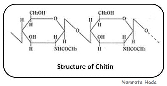 B for Biology: Biomolecules of the Cell - Carbohydrates (Part 2)