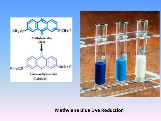 Merlins Micro World: Methylene Blue Reduction Test