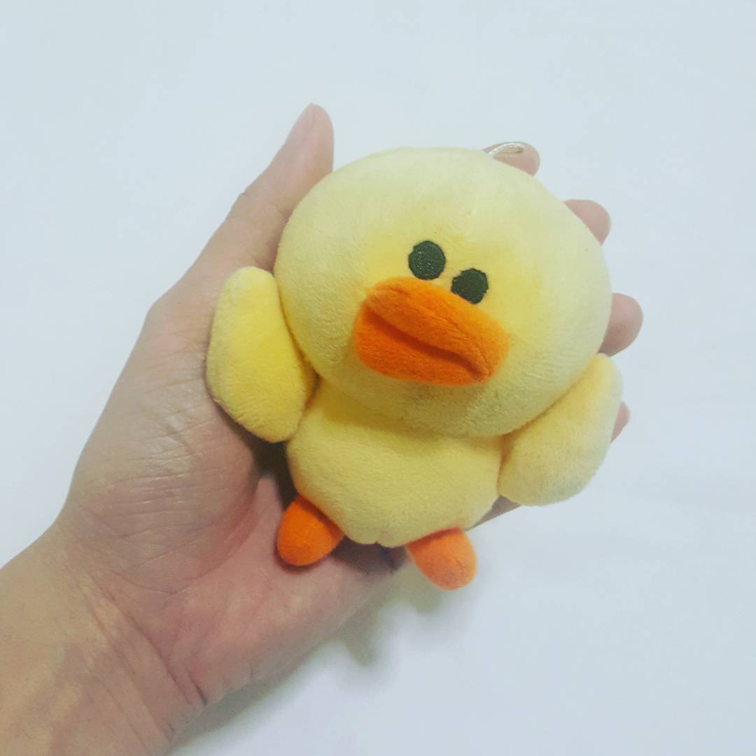 My Dipraja: WHO'S RIA SW?