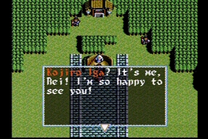 The RPG Consoler: Game #68: Inindo: Way of the Ninja (SNES) - Wandering ...