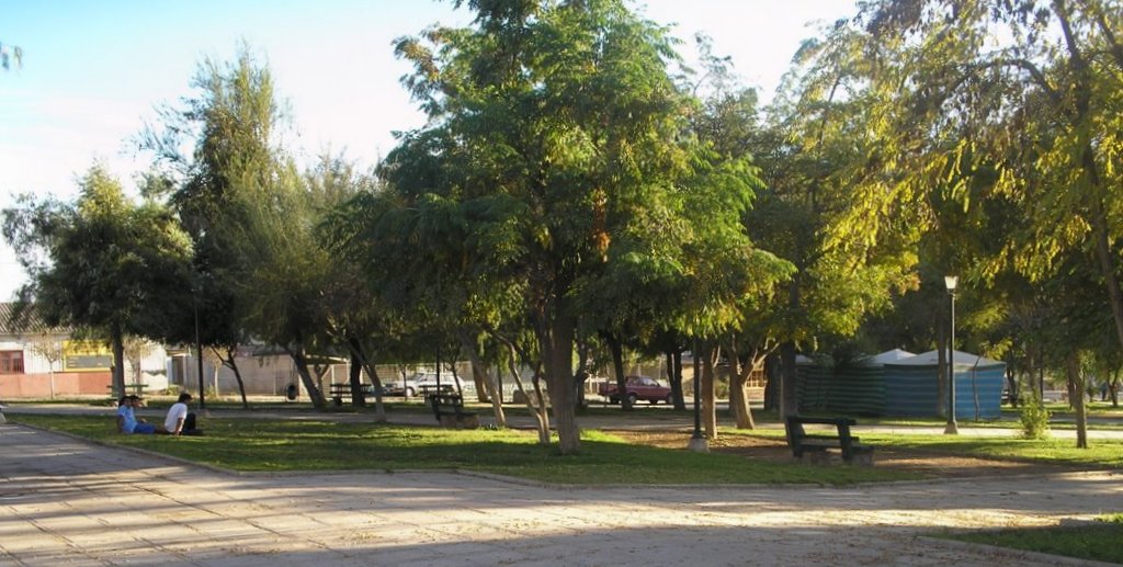 Déjame que te cuente...: EL PALQUI