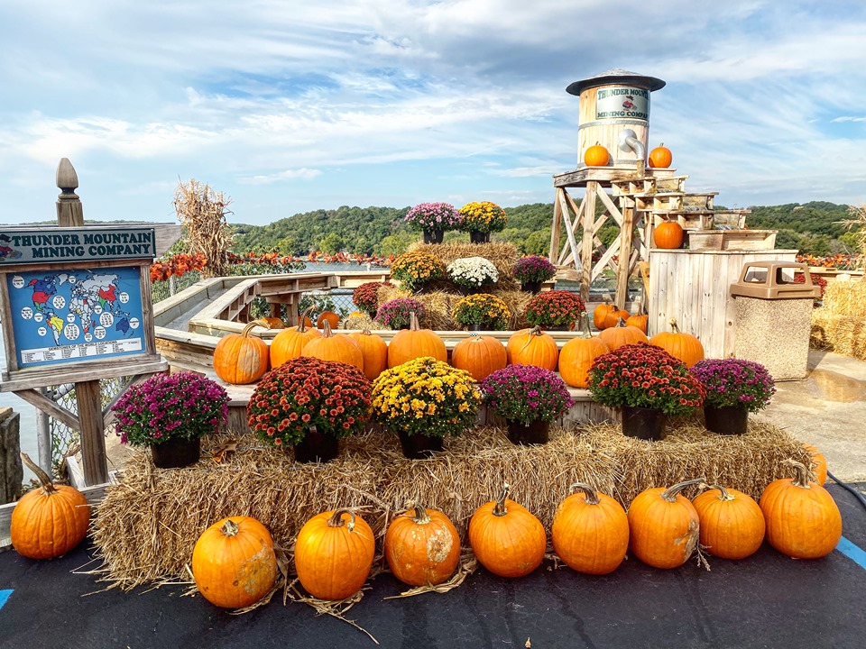 LAST Weekend for Our Fall Festival!