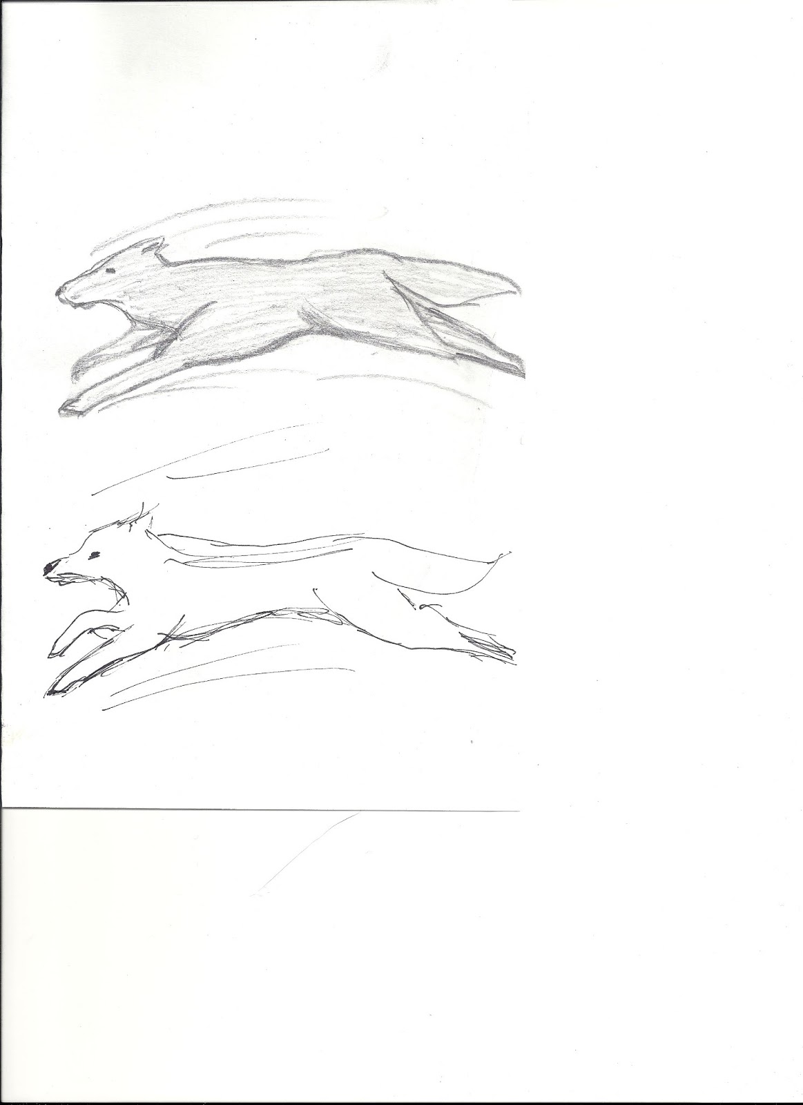 2D Design: Line Assignment