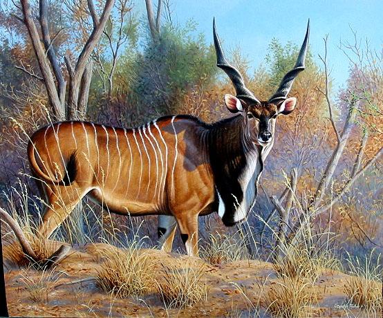 Pray For the Peace of Jerusalem(7/18/14)[Prayer]