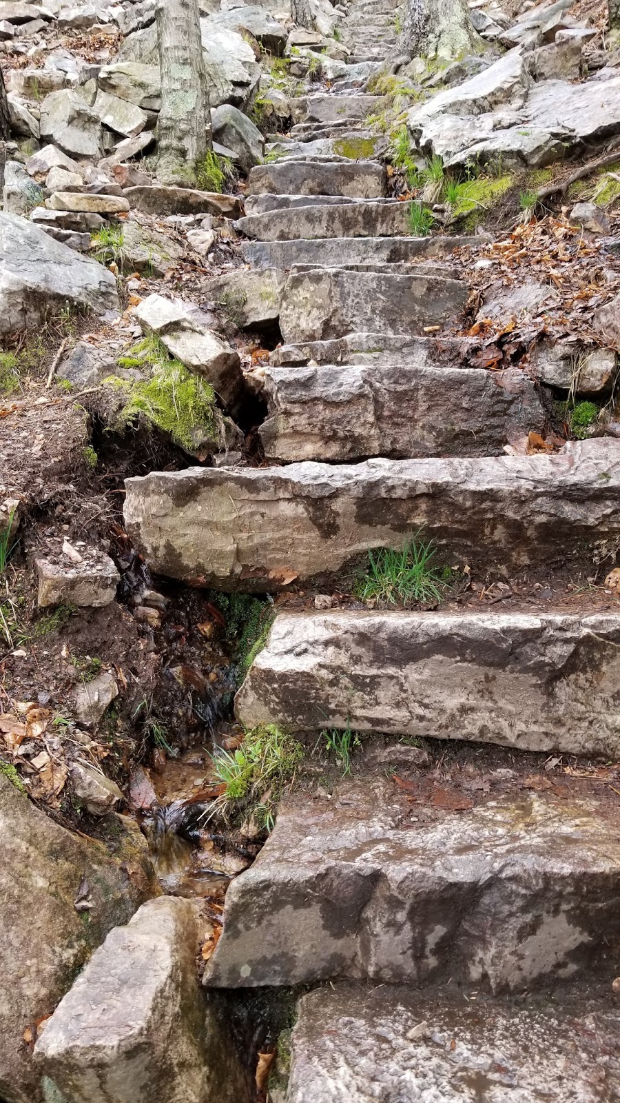 Valley Girl Views: The Thousand Steps Trail