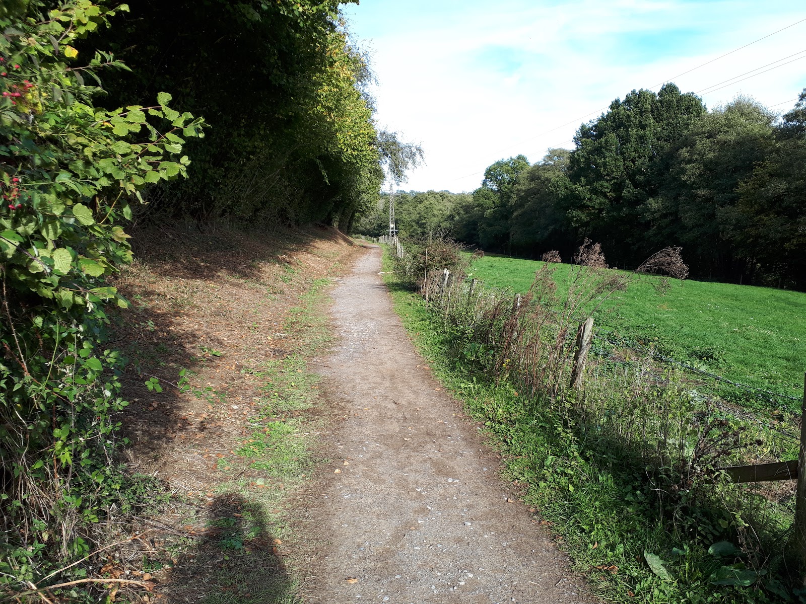 Surrey Hills Cycle Trails: Puttenham Loop