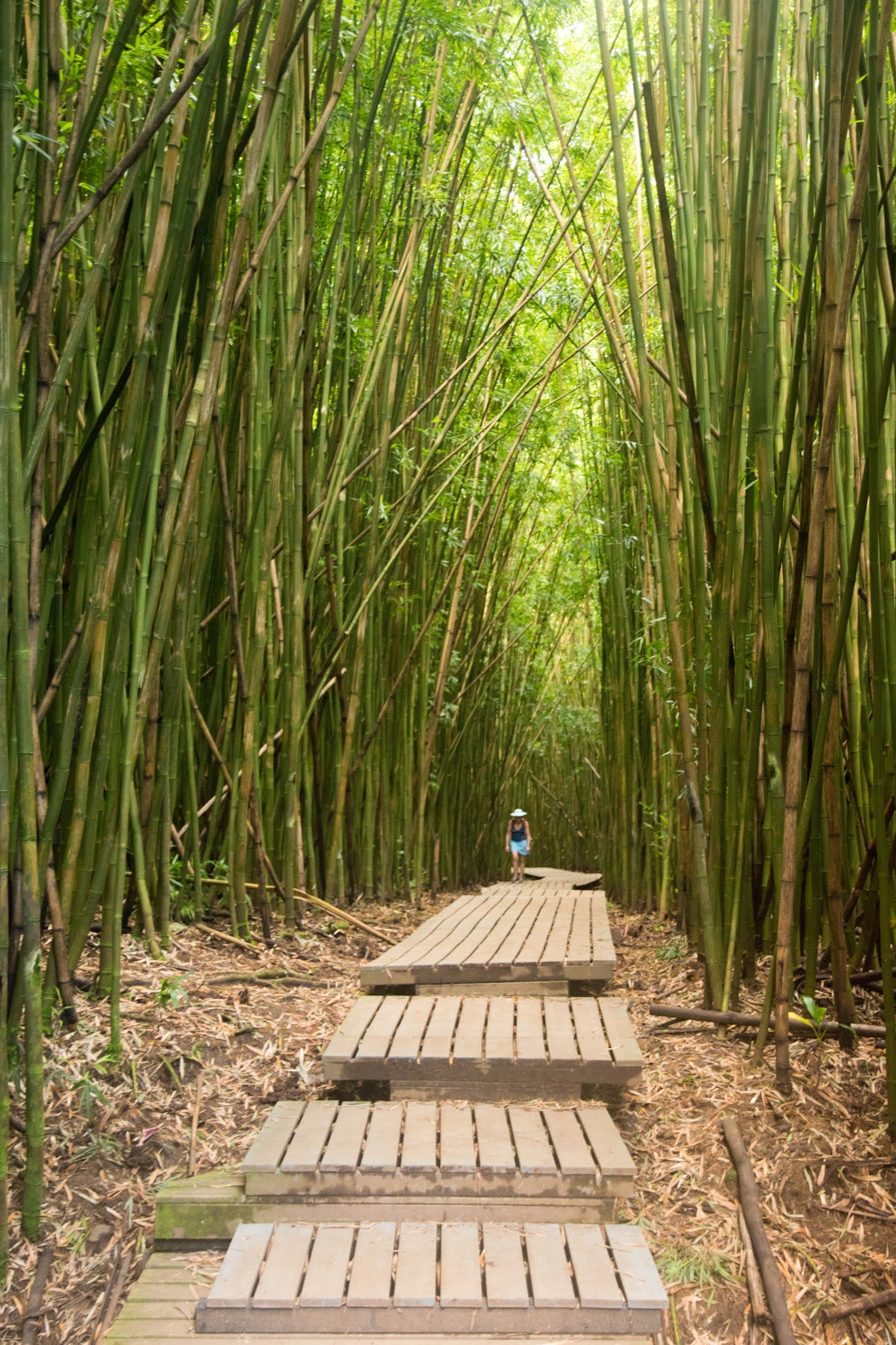 Hiking Shenandoah: Pipiwai Trail
