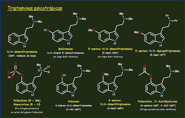 UBUScientia: Quién es quién en la asombrosa familia de las triptaminas