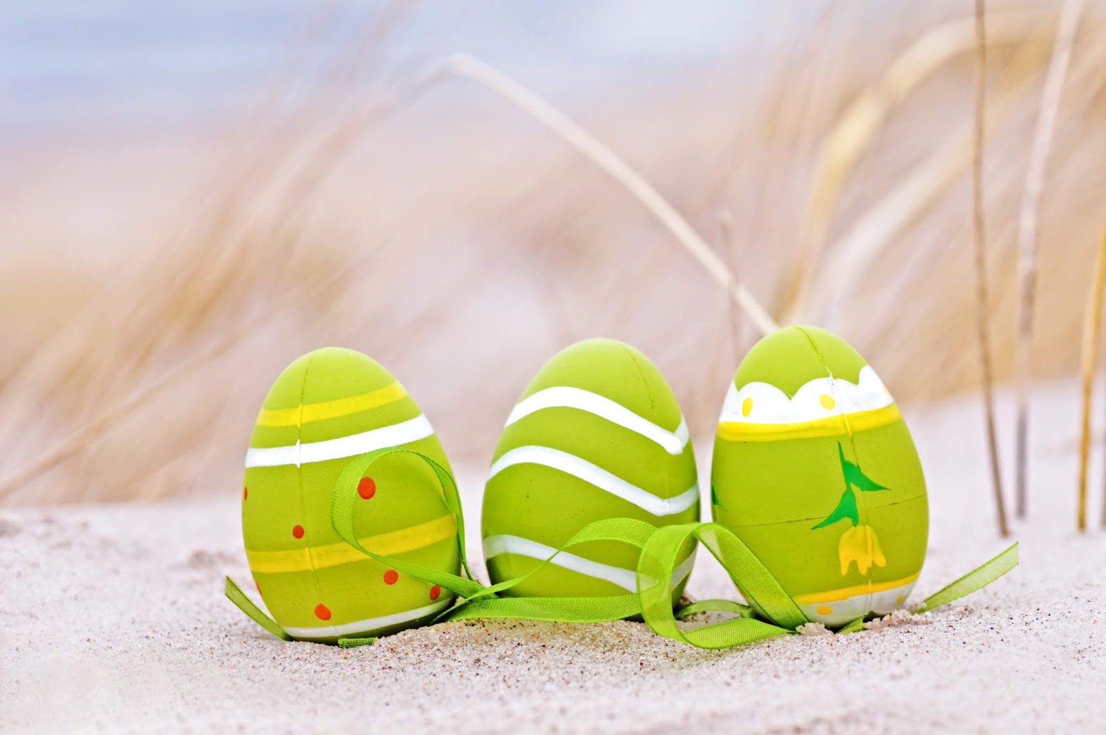 Life on Delmarva: Easter Greetings from the Seashore | Coastal ...