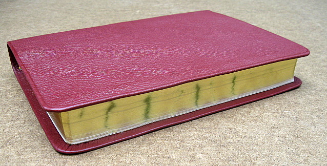 Dear Lissy: The Changing Challenge Of Choosing A Bible