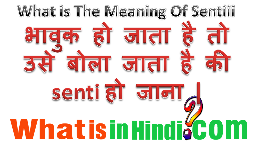 Senti का मतलब क्या होता है | What is the meaning of Senti in Hindi ...