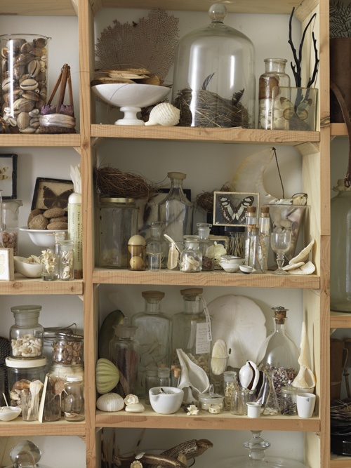 beachcomber: creative storage ideas