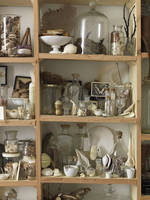 beachcomber: creative storage ideas