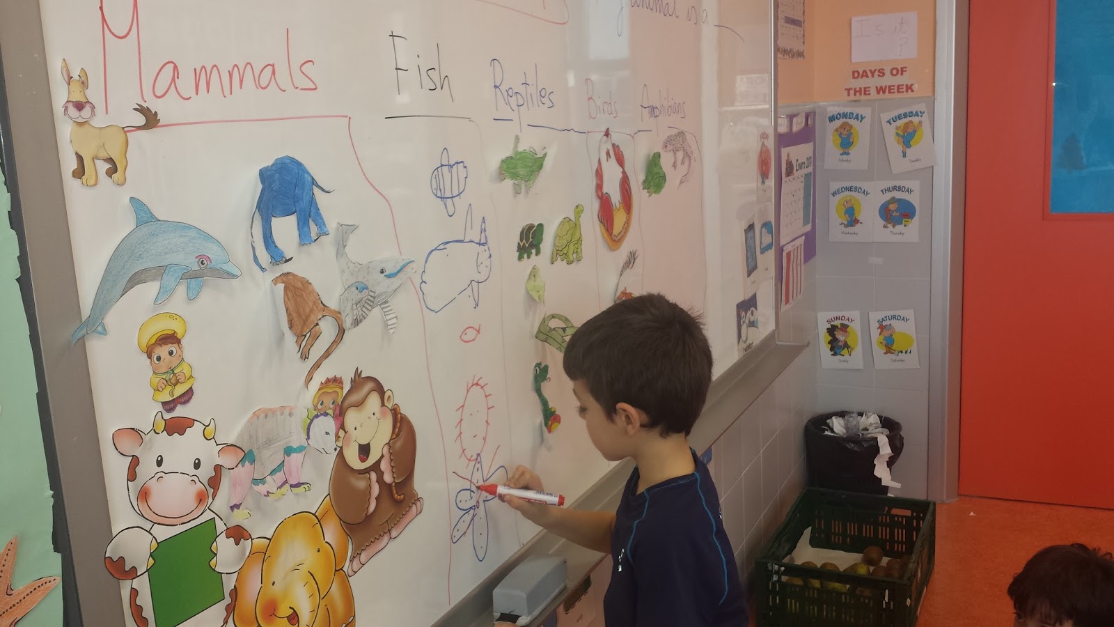 ENGLISH AT VILLA PATRO: Vertebrates groups and how animals move. Grupos ...