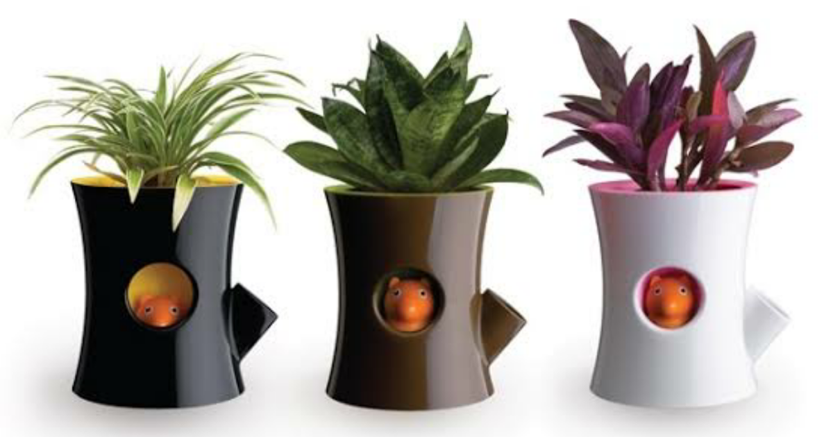 Pot Tanaman Lucu dan Unik - idrora