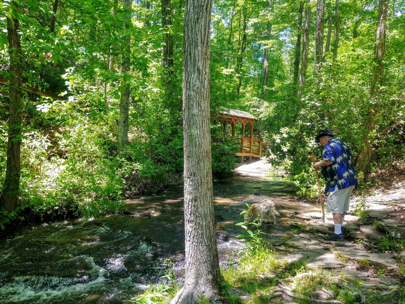 Another Mile Another Destination Blog: Issaqueena Falls, Walhalla ...