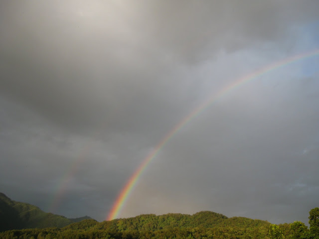 Puneet's Travel Blog.: A little about village Bidholi