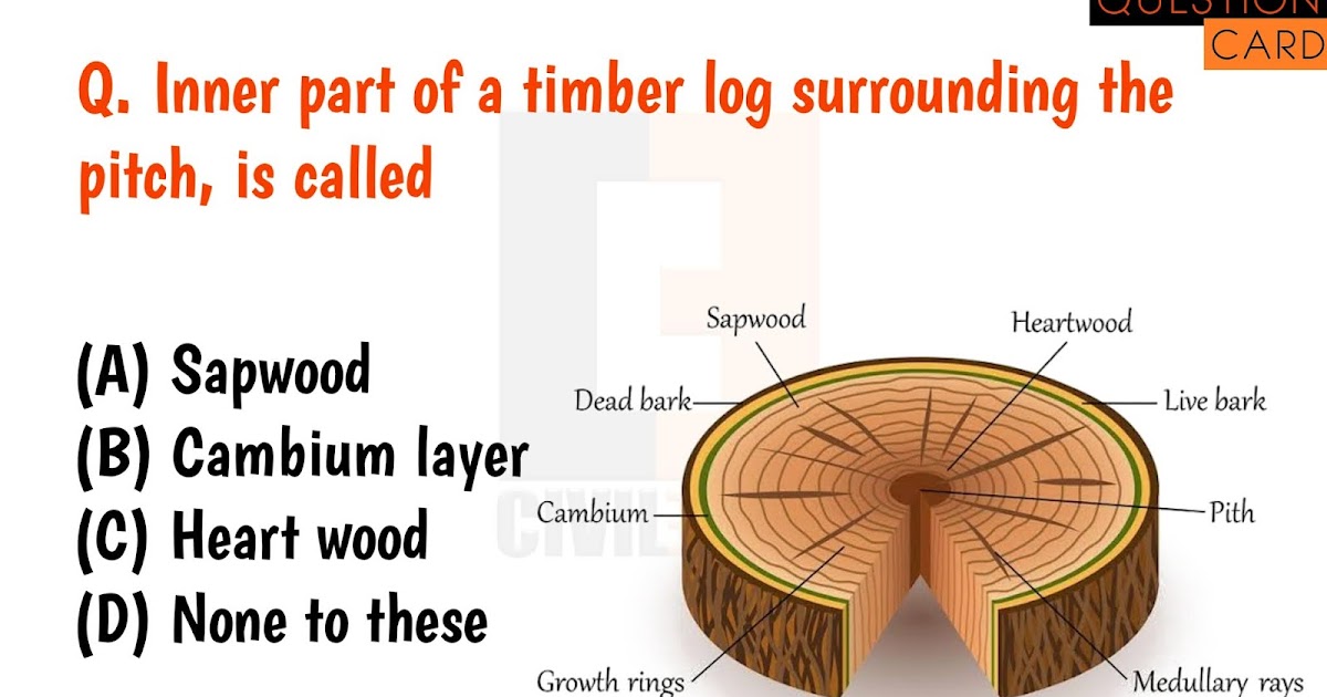 Inner part of a timber log surrounding the pitch, is called
