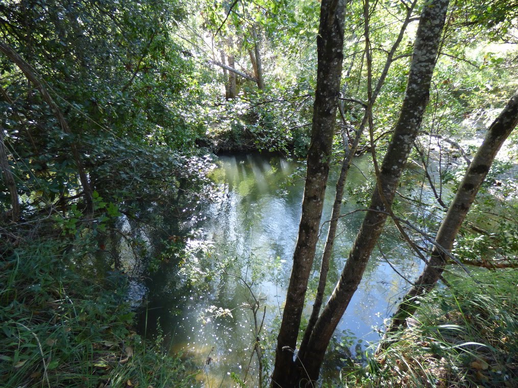 SALIDAS DE SENDERISMO ( VÍA VERDE DEL VASCO-NAVARRO Y SENDA FLUVIAL DEL ...