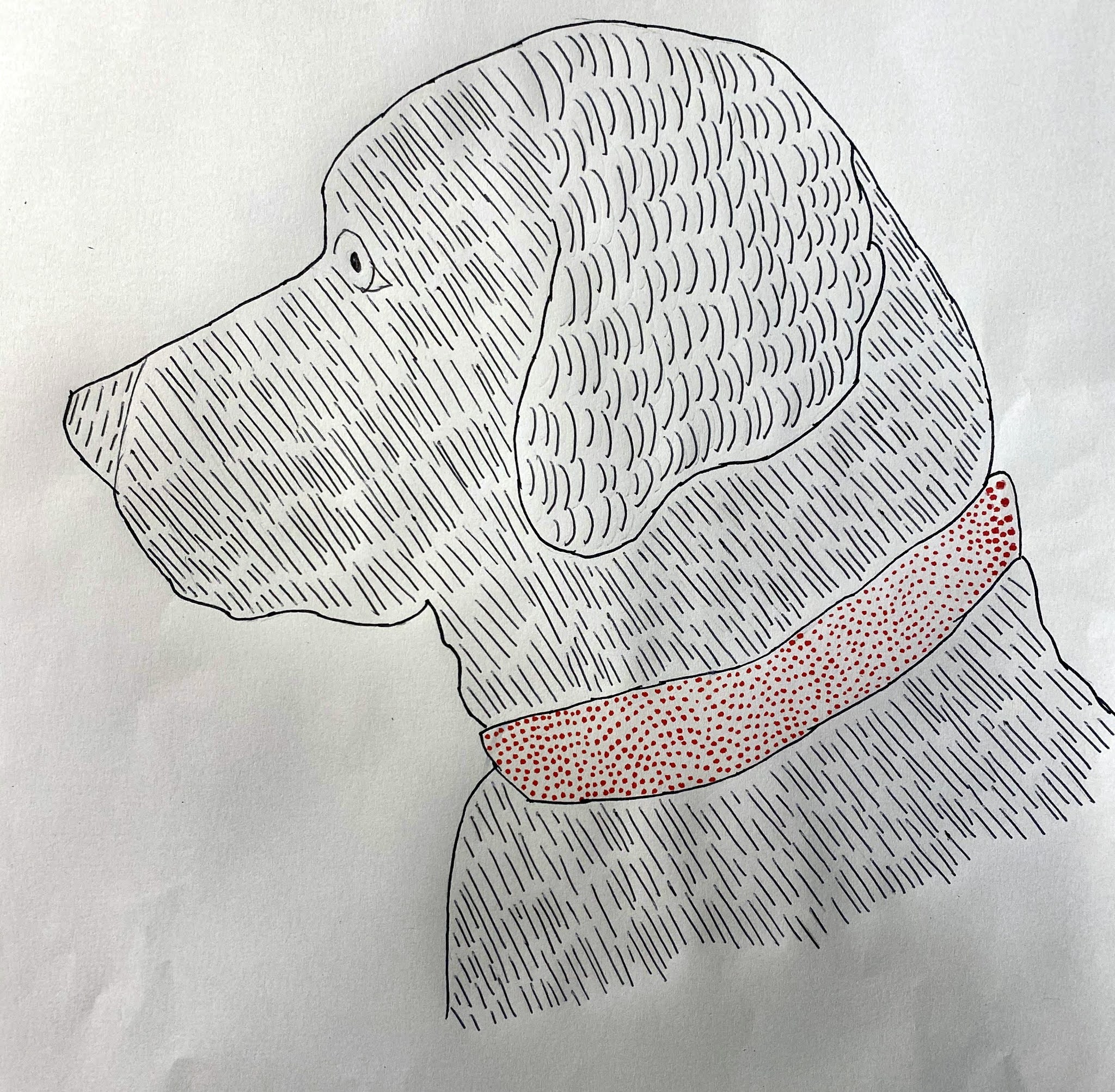 Dibujos de Líneas y Puntos.